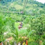 Ziplining in YS Falls and Black River Safari Private Tour - What’s Included and What’s Not