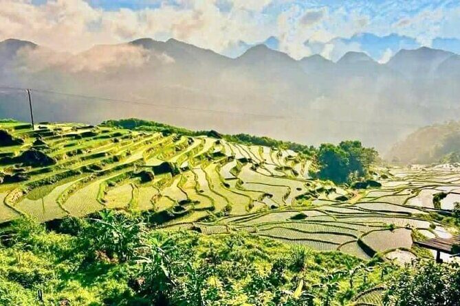 4 Days Hanoi to Pu Luong and Ninh Binh Culture Nature Adventure - Day Two: Deepening Cultural and Natural Engagements