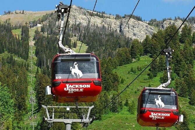 4 Days Yellowstone and Grand Teton Adventure from Salt Lake City - Who Should Sign Up?