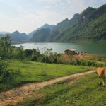 5 Days 4 Nights Jeep Expedition to Dien Bien Phu - Practical Tips for Travelers