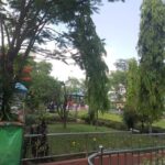 9-Day Mardi Himal Trek with Scenic Nepal City Tour - What Makes This Trekking and Touring Experience Special?