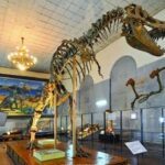 A Day Ulaanbaatar city tour - The Sum Up