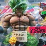 Akihabara: Private Anime and Pop Culture Tour - Who Will Love This Tour?
