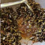 Ayutthaya: Thai Lip Balm Workshop & Market Tour - The Itinerary in Detail