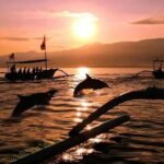 Bali: 3-Day North Bali Tour with Dolphin Watching - Transportation, Group Size, and Value