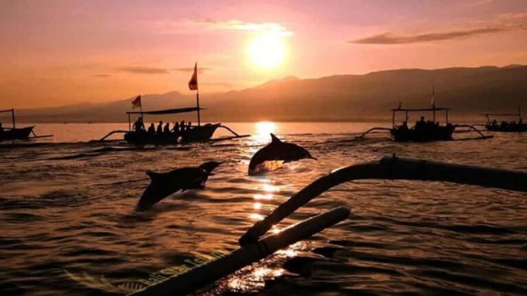 Bali: 3-Day North Bali Tour with Dolphin Watching - Transportation, Group Size, and Value