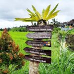 Bali: Bedugul Cultural & Nature Discovery Full Day Tour - Who is This Tour Best Suited For?
