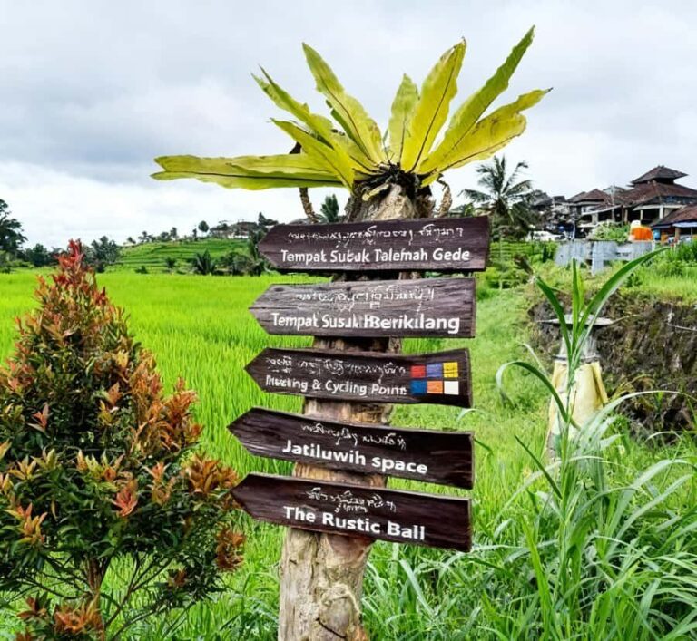 Bali: Bedugul Cultural & Nature Discovery Full Day Tour - Who is This Tour Best Suited For?