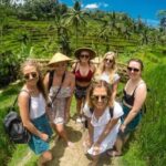 Bali Benoa Shore Excursions Private Ubud Tour - The Experience Provider and Booking Details