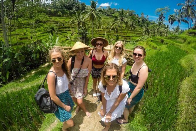 Bali Benoa Shore Excursions Private Ubud Tour - The Experience Provider and Booking Details