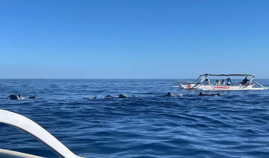 Bali Honeymoon Package 7D6N-Romantic journey - What Does the Tour Feel Like?