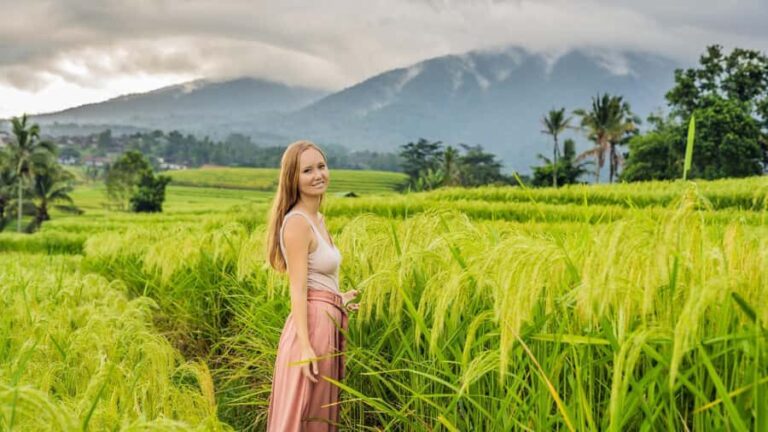 Bali: Jatiluwih Rice Terraces Sunrise guided Walking Tour - What Makes This Tour Special?