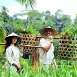 Bali: Legendary Battle of Good & Evil, Temples and Waterfall - Who Would Love This Tour?