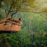 Bali: Monkey Forest, Tegalalang, Uluwatu & Kecak Dance Tour - Exploring the Key Destinations