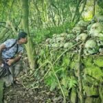 Bali: Mount Batur Jeep Sunrise & Trunyan Village Tour - The Experiences Strengths & Considerations