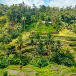Bali Shore Excursion from Benoa Port  All-Inclusive Private Trip - Key Points