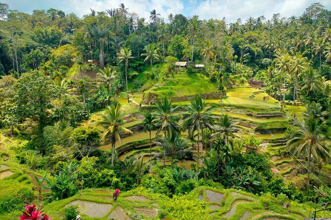 Bali Shore Excursion from Benoa Port  All-Inclusive Private Trip - Key Points