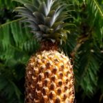 Bali: Traditional Farming Village Tour with Lunch - The Traditional Lunch and Cultural Connection