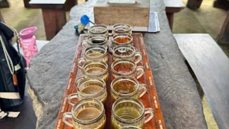 Bali: Ubud Culture and Adventure Tour with Waterfall - Price and Value