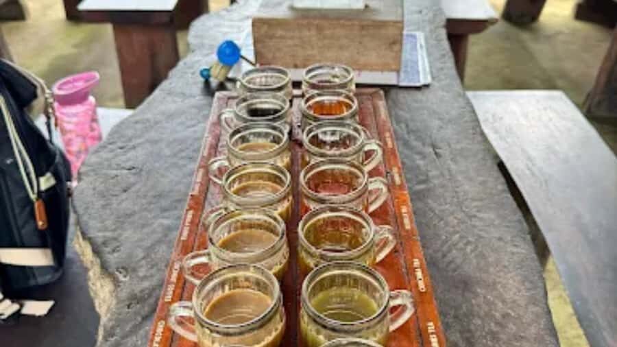 Bali: Ubud Culture and Adventure Tour with Waterfall - Price and Value