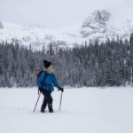 Banff: Small-group Tour of Frozen Gems of Yoho and Kootenay - The Value of This Experience