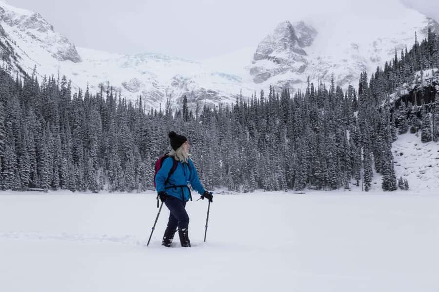 Banff: Small-group Tour of Frozen Gems of Yoho and Kootenay - The Value of This Experience