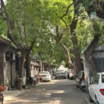 Beijing Walk Tour: HuTong CourtYard Houses Mysteries Decoded - Who Will Love This Tour?