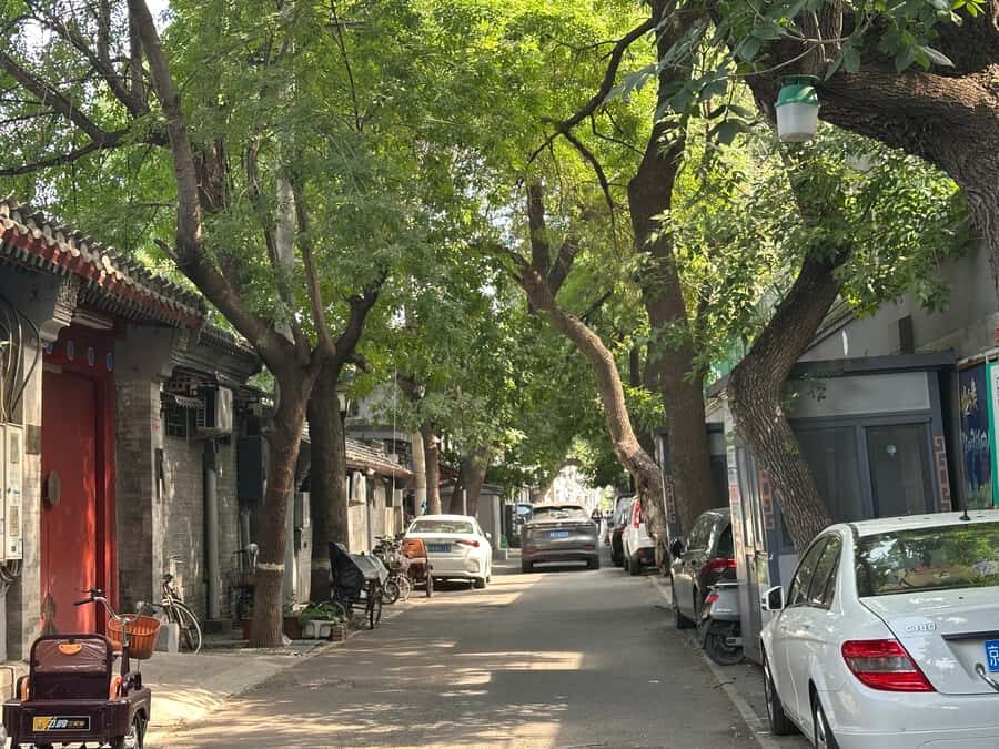 Beijing Walk Tour: HuTong CourtYard Houses Mysteries Decoded - Who Will Love This Tour?