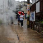 Beppu Walking Tour: Hot Springs & Local Culture - Who Should Consider This Tour?