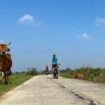Bites by Bike a Hoi An Food Tour - Analyzing the Value