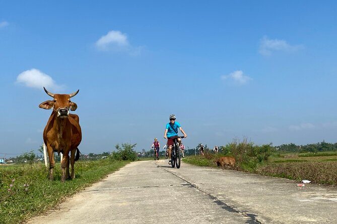 Bites by Bike a Hoi An Food Tour - Analyzing the Value