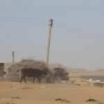 Bukhara/Samarkand: Nurata, Aydarkul Lake & Desert Day Trip - Exploring the Route and Its Significance