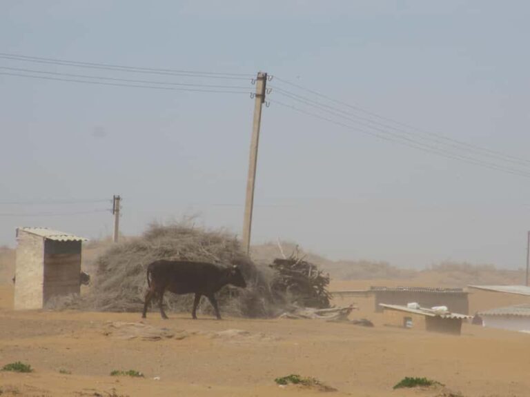 Bukhara/Samarkand: Nurata, Aydarkul Lake & Desert Day Trip - Exploring the Route and Its Significance