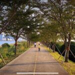 Busan Private Bike Tour - The Itinerary in Detail