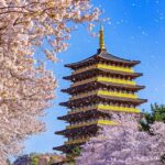 Busan: Sky Capsule or Gyeongju Cherry Blossom Spring Tour - Day-by-Day Breakdown: What You Can Expect