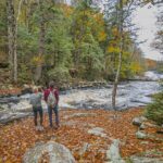 Canopy Tour at Haliburton Forest - Authentic Experiences and Real Traveler Feedback