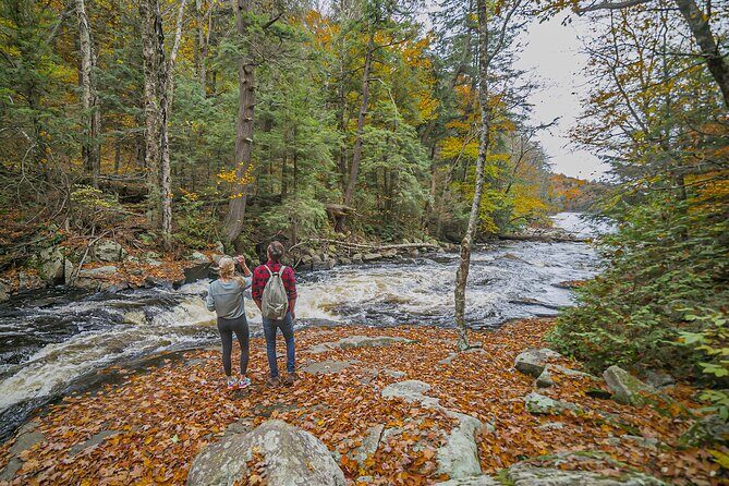 Canopy Tour at Haliburton Forest - Authentic Experiences and Real Traveler Feedback