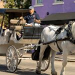 Charleston: Historic Carriage Tour of Charleston - Pricing and Value
