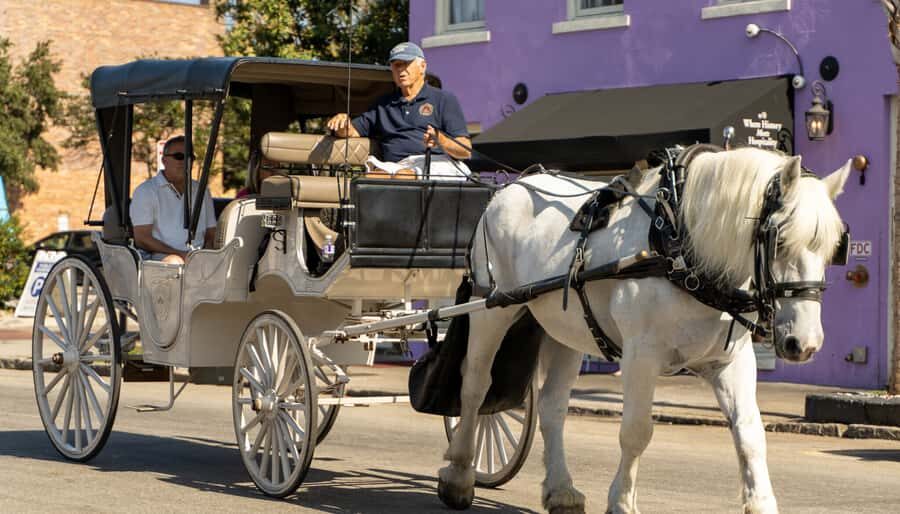 Charleston: Historic Carriage Tour of Charleston - Pricing and Value