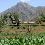 Chepang Hill Homestay Trek and Chitwan National Park Tour - What Sets This Tour Apart?