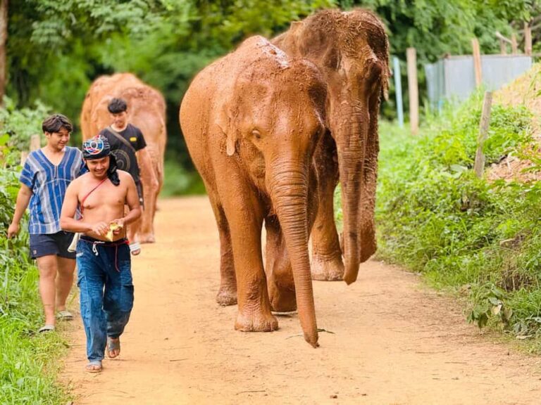 Chiang Mai : Temple , Nature and culture in one day. - Why This Tour Works