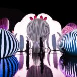 Chicago: Balloon Museum - EmotionAir - Entry Tickets - What to Expect When Visiting