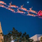 Christmas in LA Holiday Tour - Practical Details That Matter