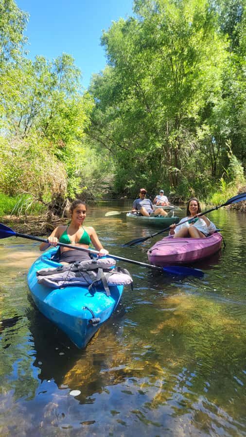 Cottonwood: Private Verde River Kayak Tour UTV Ride Included - An Overview of the Verde River Kayak Tour