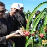 Dalat - Nha Trang Motorbike: Local Hidden Gems - Authentic Encounters and Guide Expertise