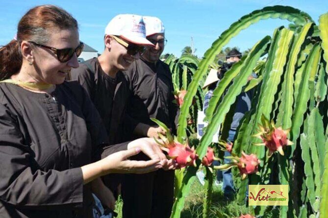 Dalat - Nha Trang Motorbike: Local Hidden Gems - Authentic Encounters and Guide Expertise