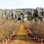 Day Tour to Kunming's Stone Forest and Jiuxiang Cave - Exploring Jiuxiang Caves: Underground Wonderlands