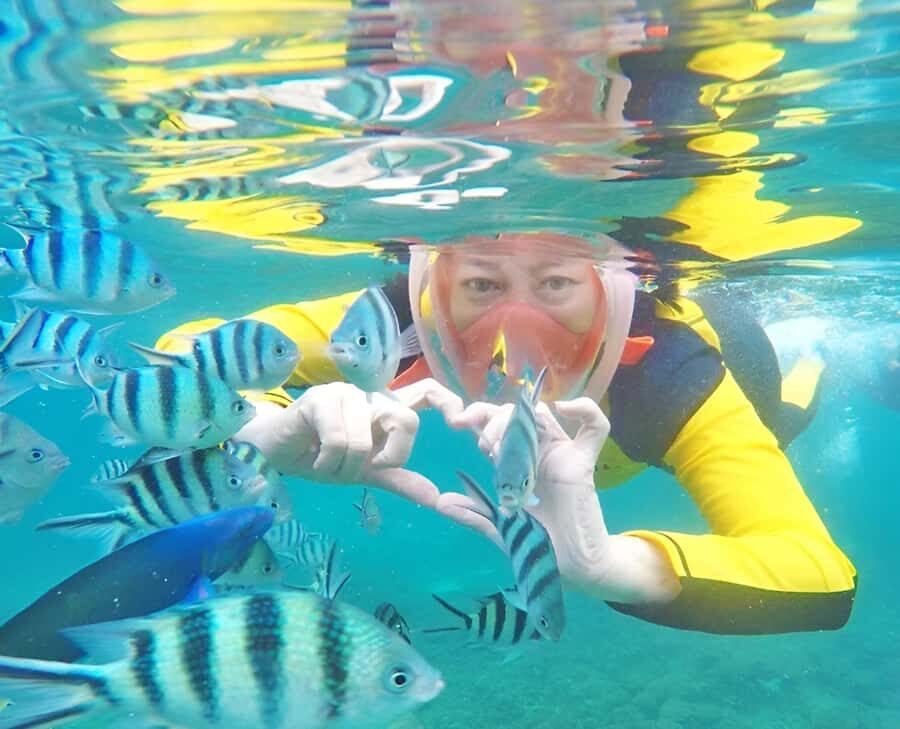 Day trip snorkeling Koh Tao & Koh Nang Yuan - Transportation and Timing: Why They Matter