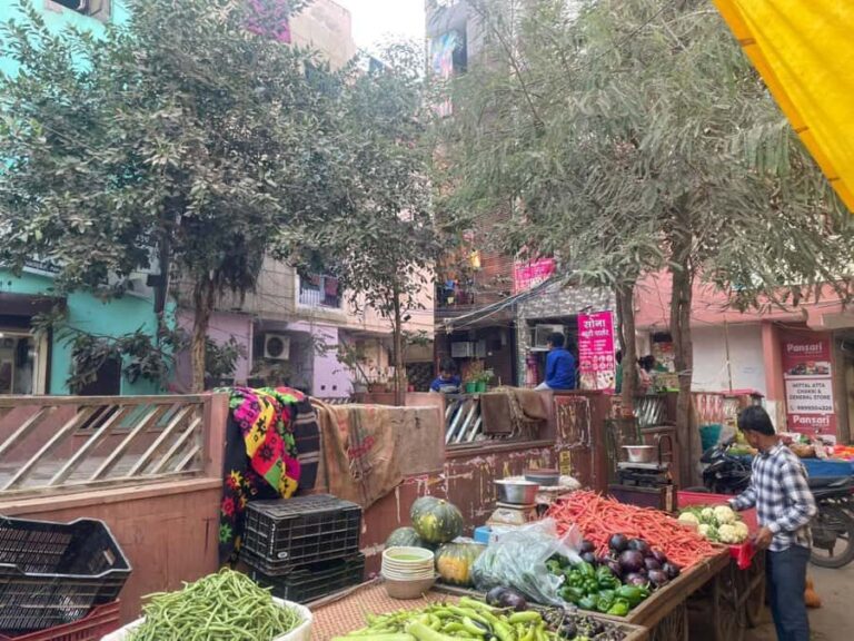 Delhi: Full-Day Shopping Tour with Male & Female Guide - Breaking Down the Itinerary