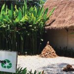 Elephant Poopoopaper Park Entry Ticket - The Experience: What You Can Expect